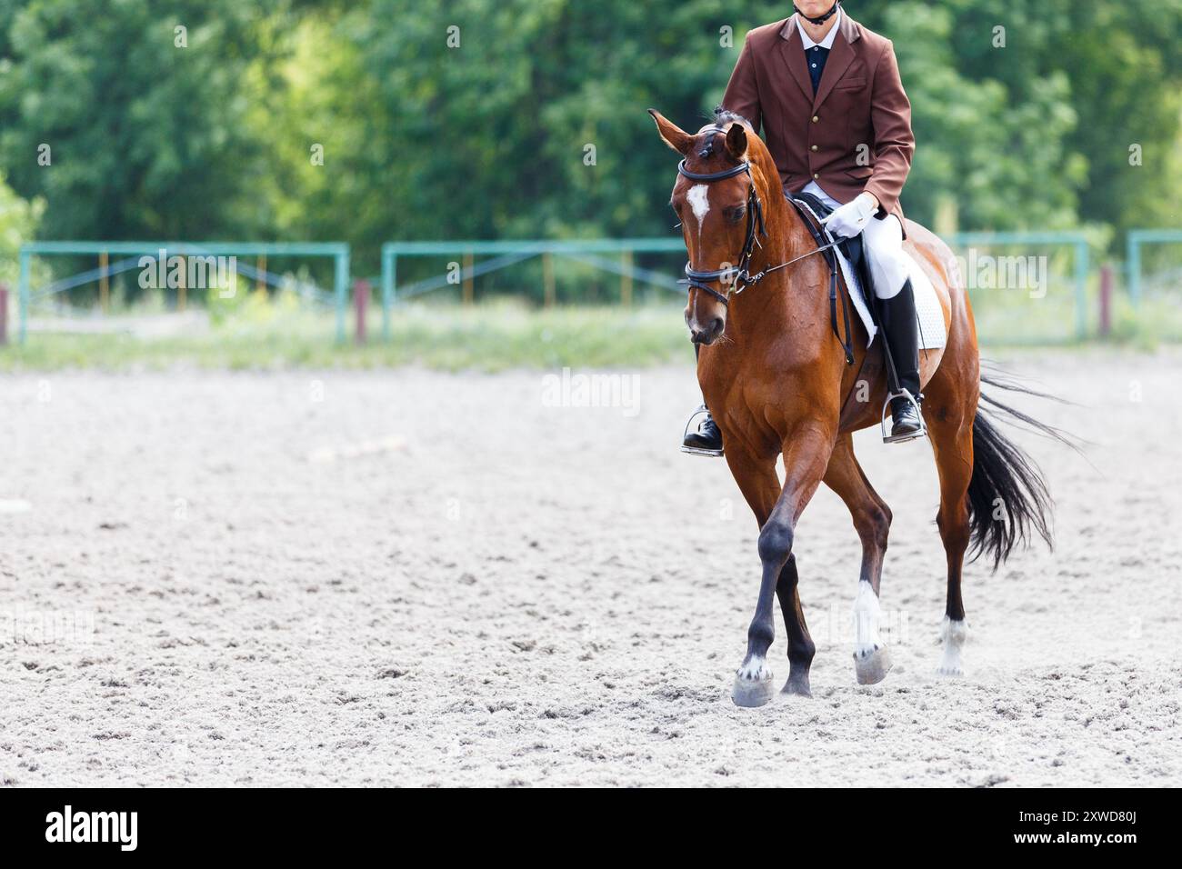Rider in formal attire gracefully trotting a horse in an outdoor ...