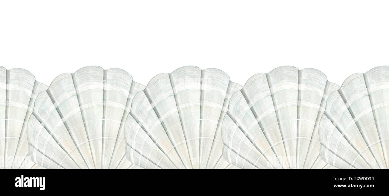 Seamless border of beige sea shells Scallop, watercolor illustration ...