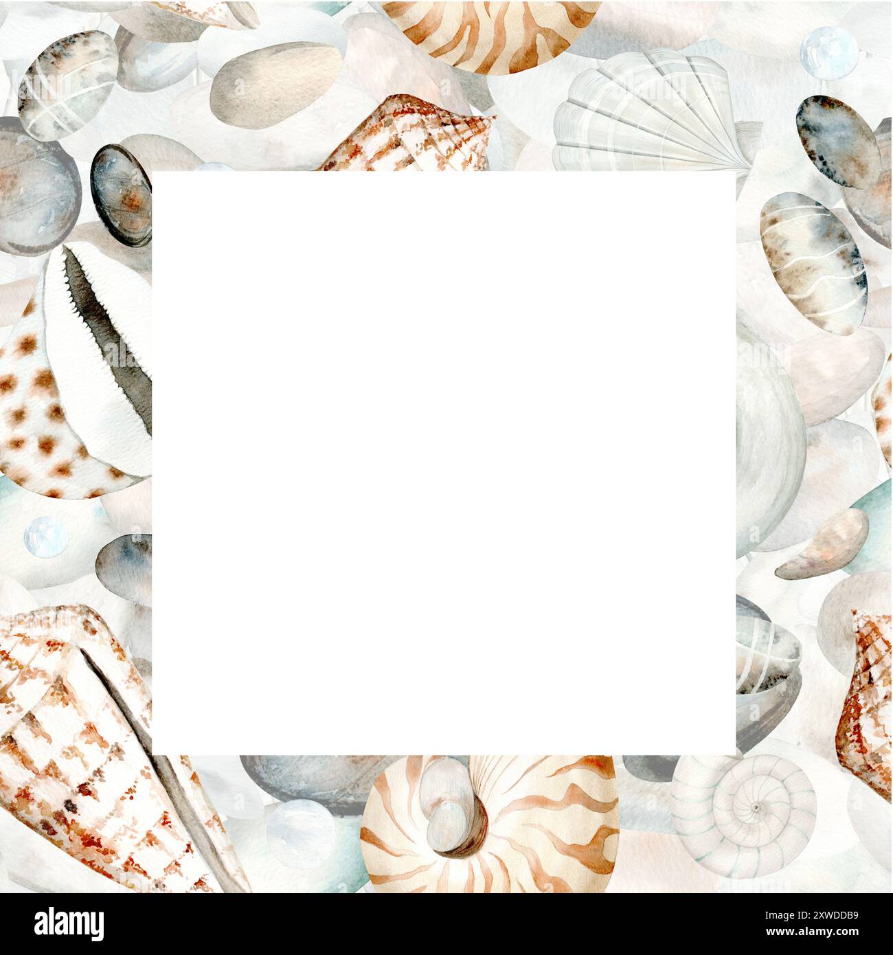 Frame of sea shells and pebbles watercolor pattern. Hand-painted ocean ...