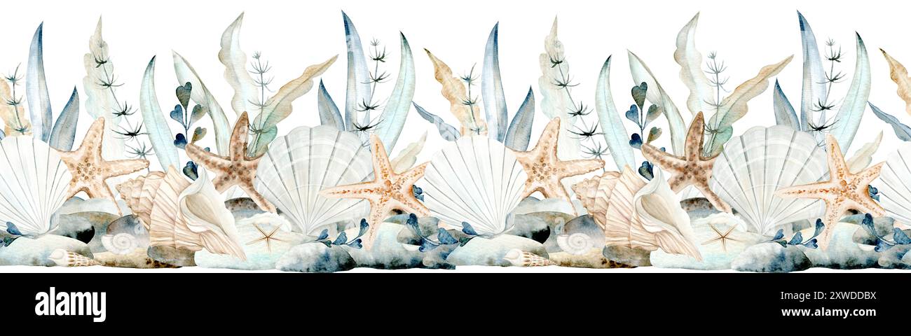 Seamless border of beige sea shells, seaweed, starfish and pebbles ...