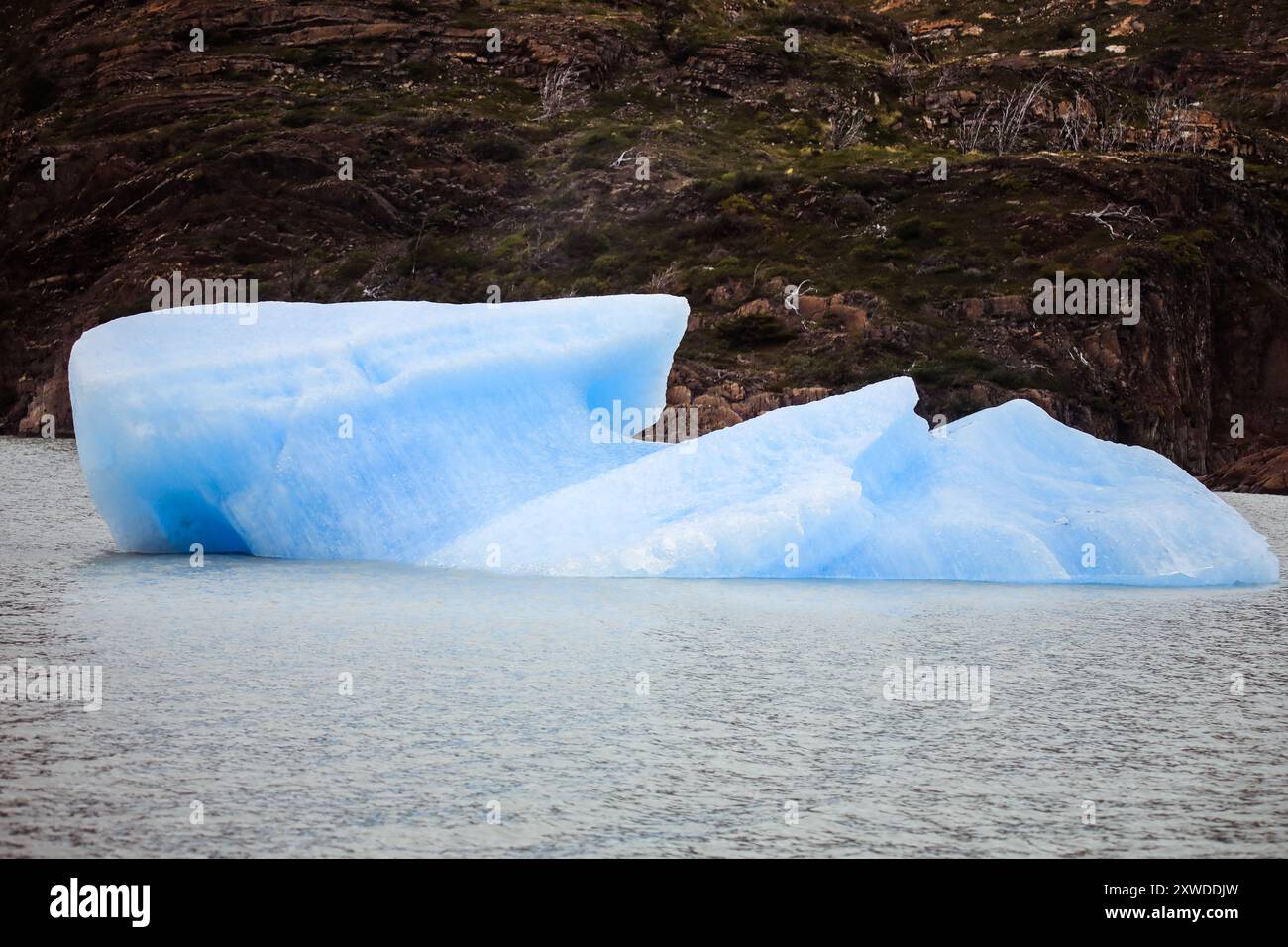 Ice Piece in the Lake of Gray, near of the Grey Glacier in the Southern ...