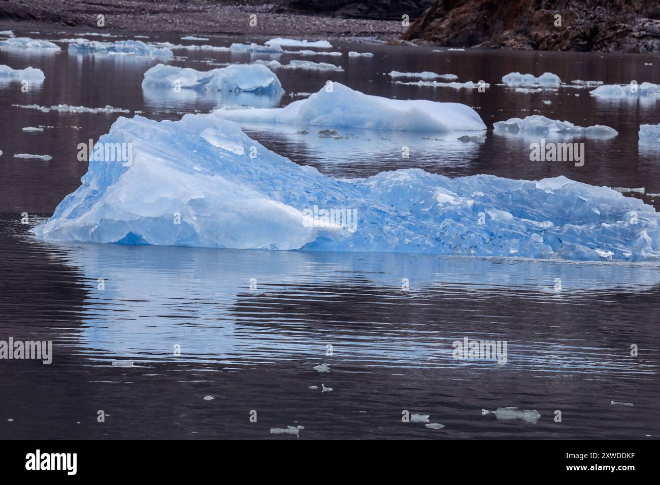 Ice Piece in the Lake of Gray, near of the Grey Glacier in the Southern ...