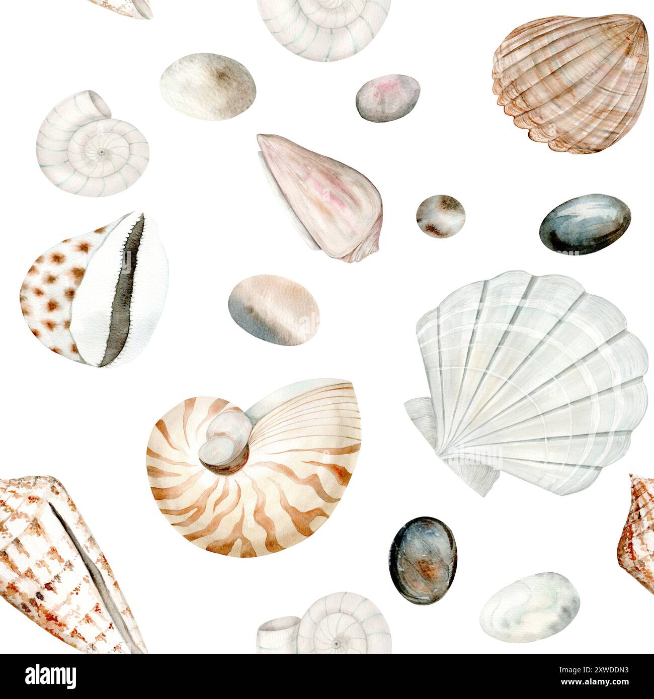 Seamless pattern of sea shells and pebbles watercolor illustration on ...