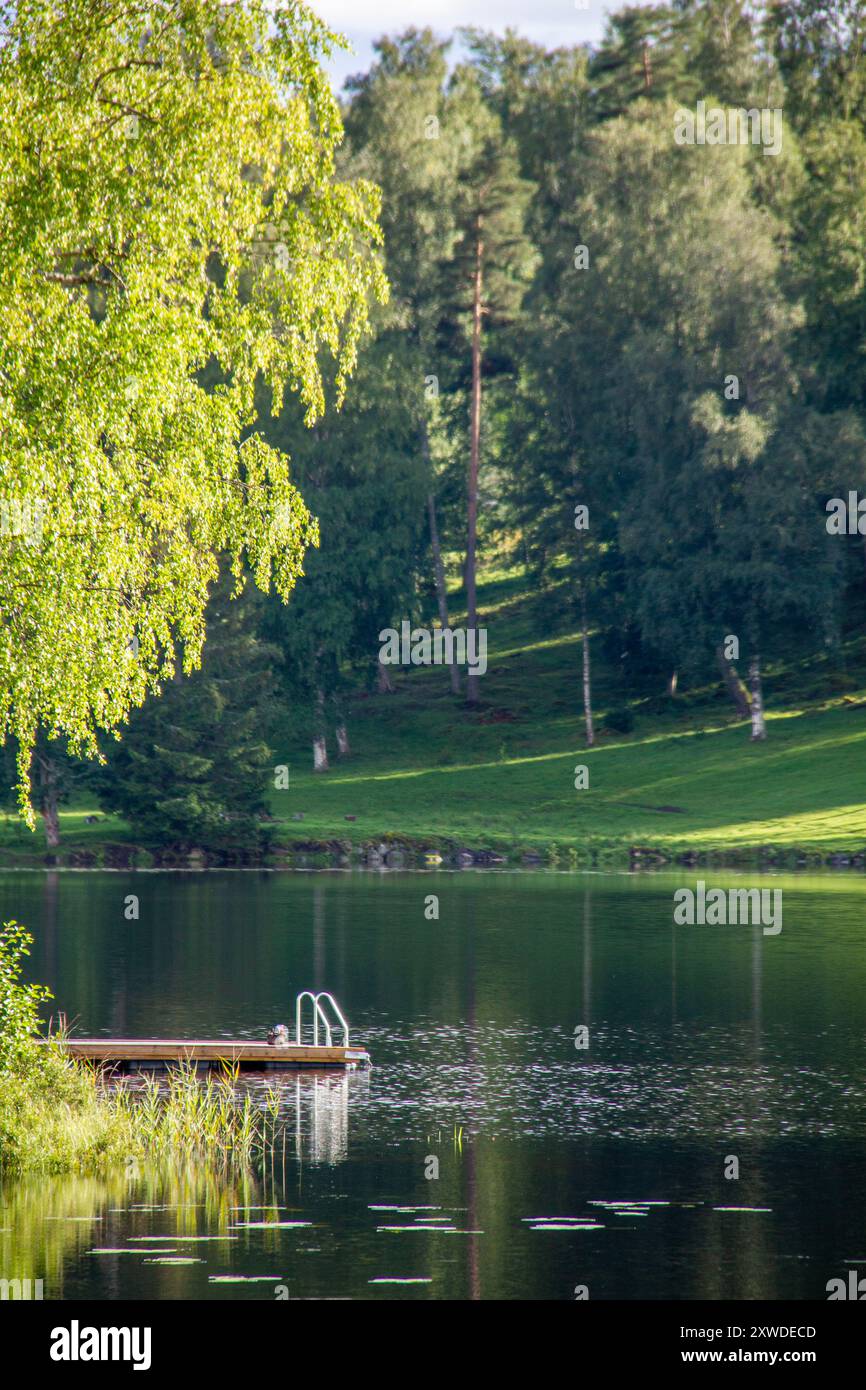 Bathing area in the forest hi-res stock photography and images - Alamy