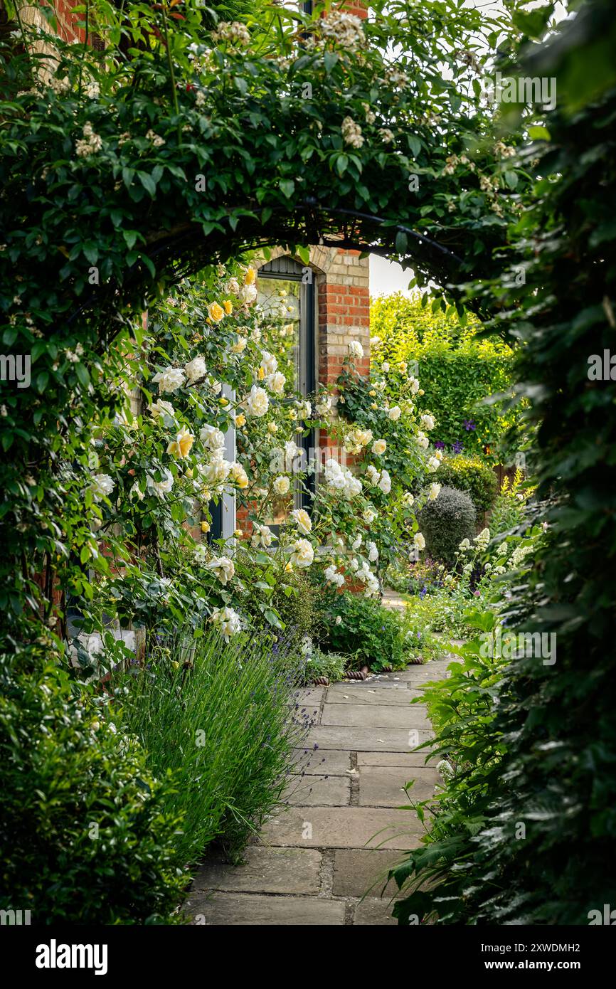Climbing roses and archway over path outside Wimbledon garden, south ...