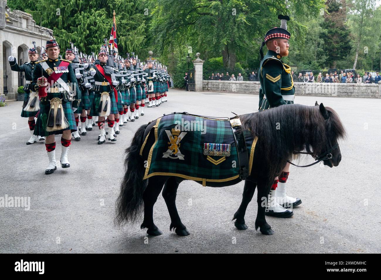 Shetland pony Cpl Cruachan IV (mascot of the Royal Regiment of Scotland ...