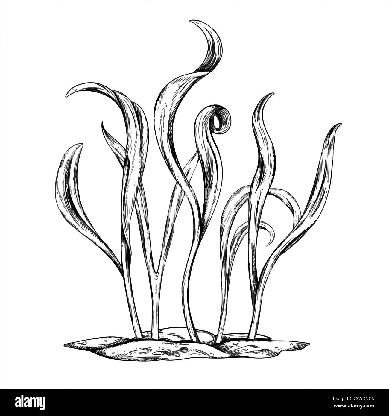 Plant sprout seeds in Stock Vector Images - Alamy