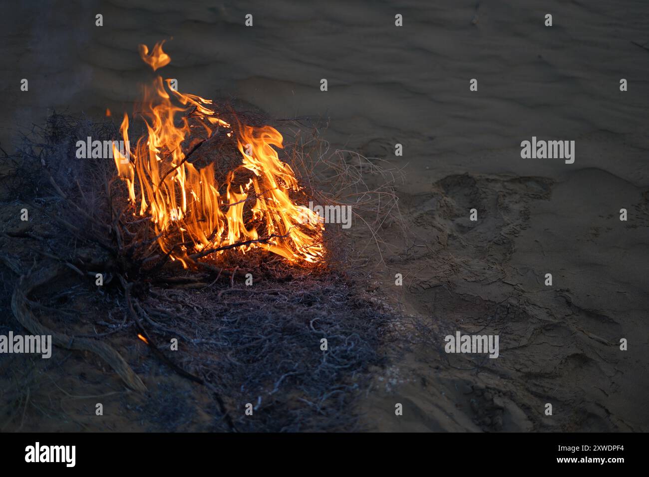 A fire in the desert Stock Photo - Alamy
