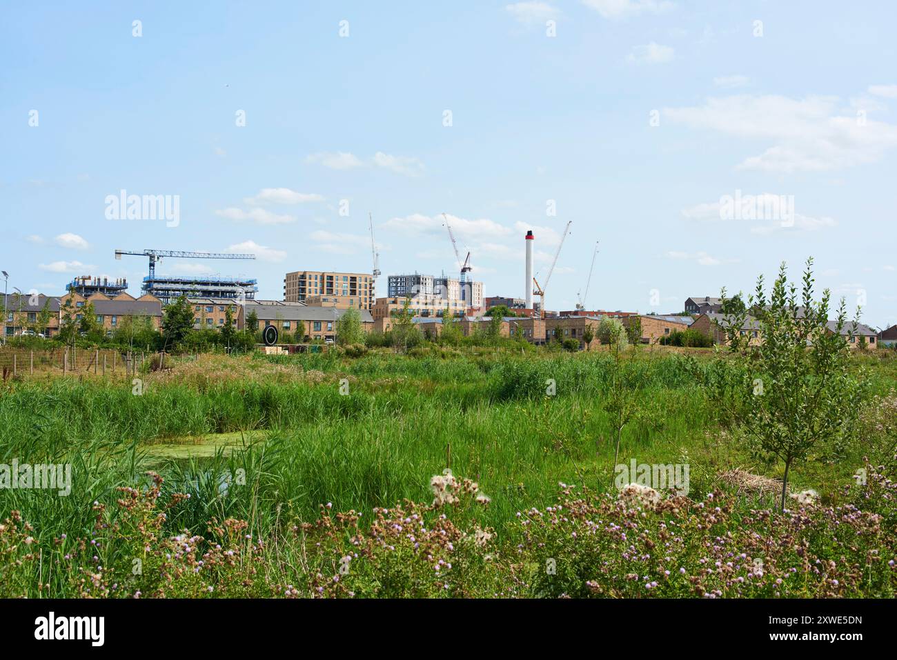 The new Eastman Village housing development, Harrow, Greater London UK ...