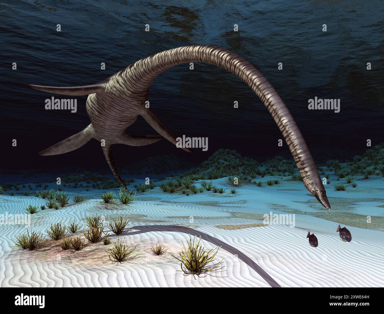 Plesiosaurus hunting hi-res stock photography and images - Alamy