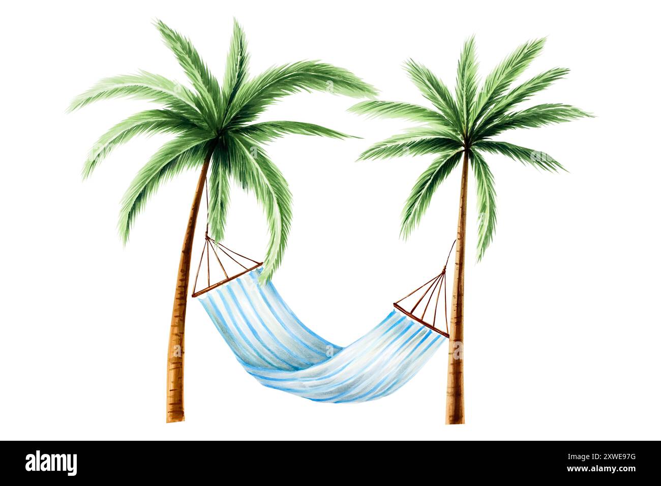 Palm Tree Coconut Clipart