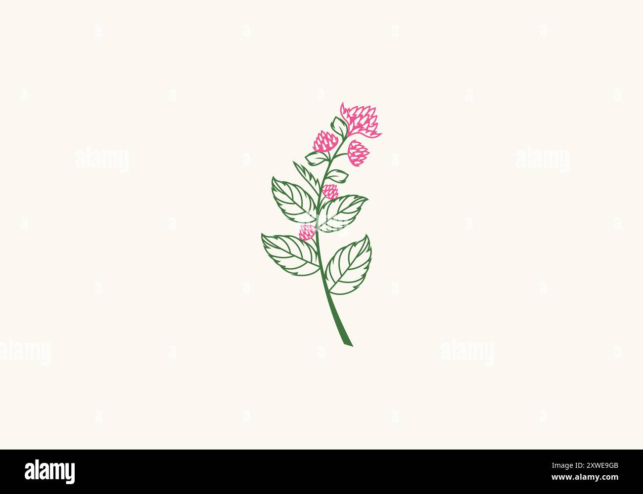 Logo Protea Flower Colorful, Floral Botanical Beauty Logo. Editable ...