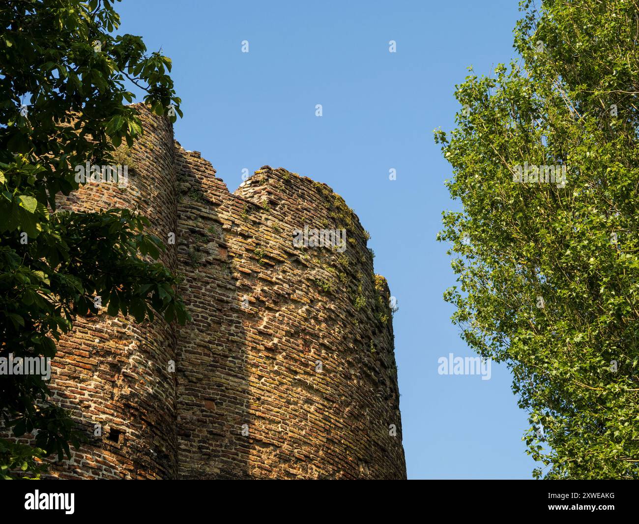 Cow Tower, Ruin, Artillery Tower, Norwich, Norfolk, England, UK, GB ...
