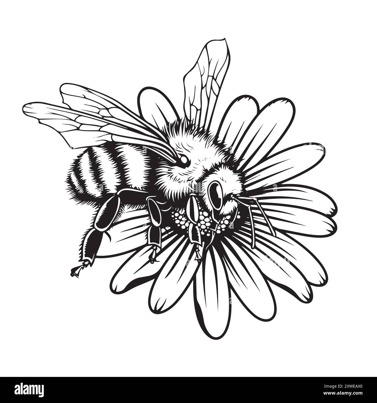 Drawing of bee on flower, Vector sketch Hand drawn illustration ...