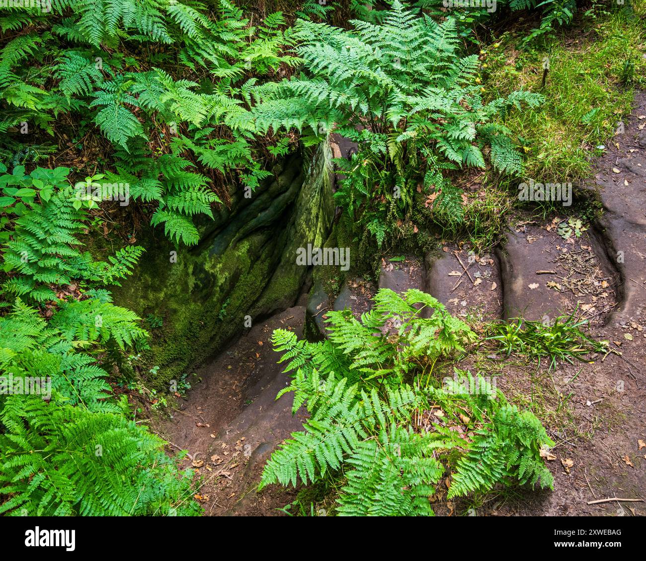 Heading down the winding set of steps carved into the rocks many ...