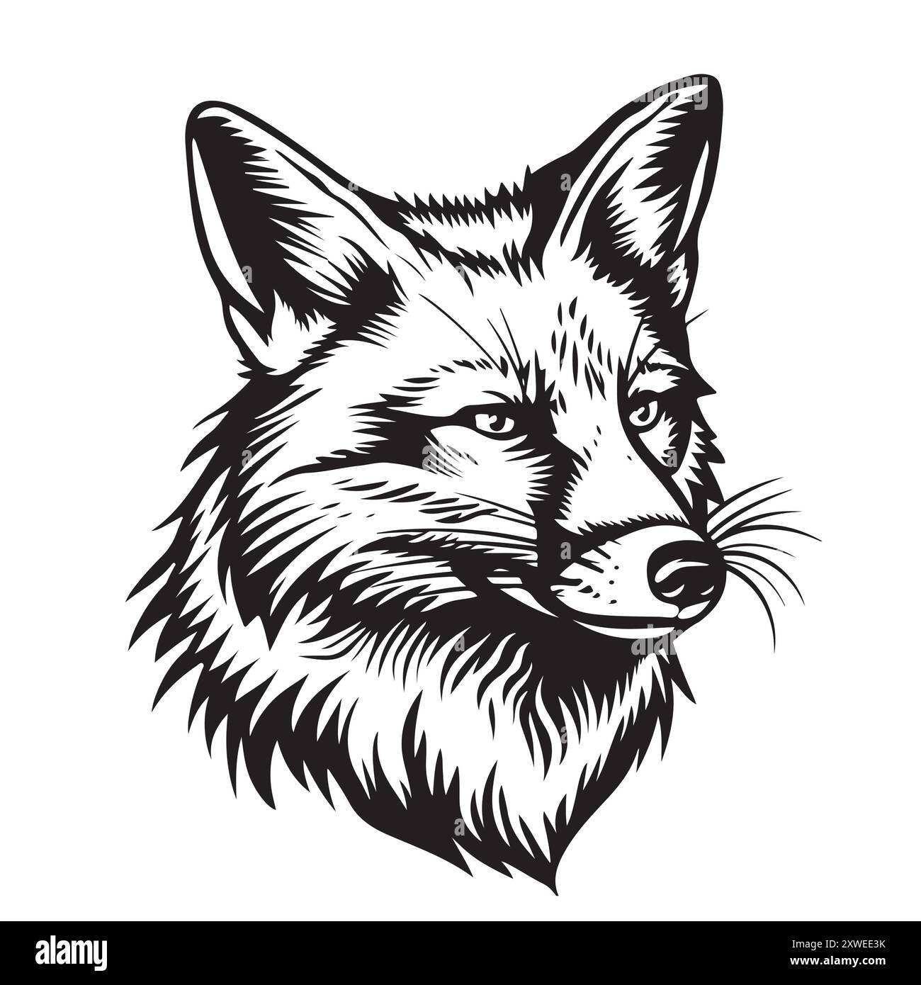 Cartoon fox face Black and White Stock Photos & Images - Alamy