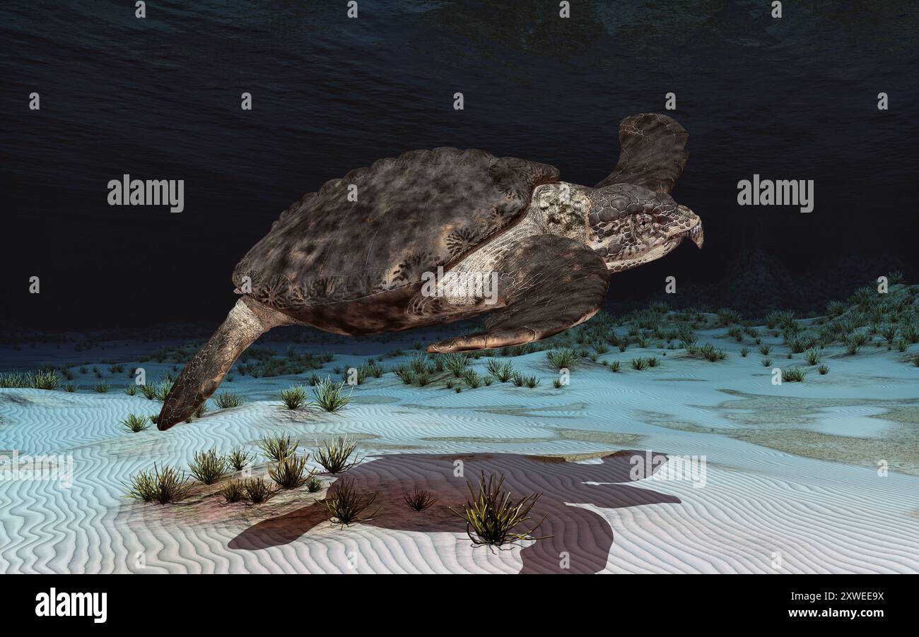 Giant Prehistoric Turtle Fisherman Hooks Prehistoric 200 Pound