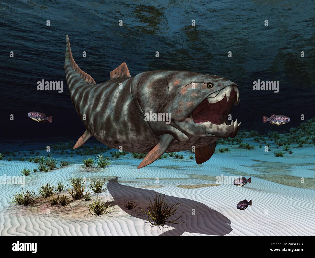 Dunkleosteus hi-res stock photography and images - Alamy