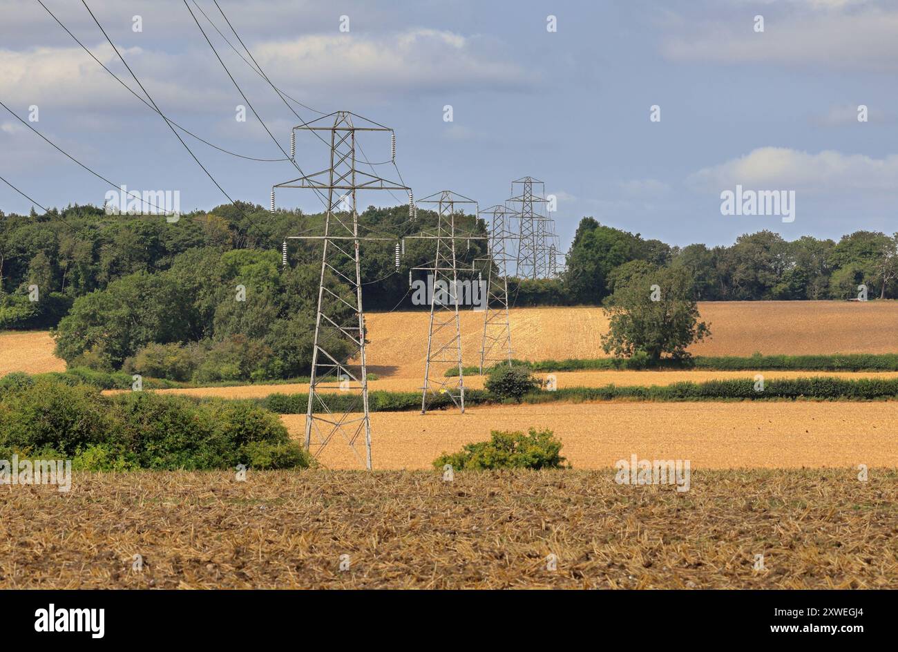 Row of Electricity Pylons in an English Rural Landscape in the Englisg ...