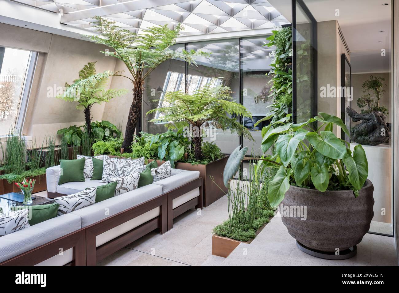 Leafy green palm trees and plants in luxury modern British home. London ...