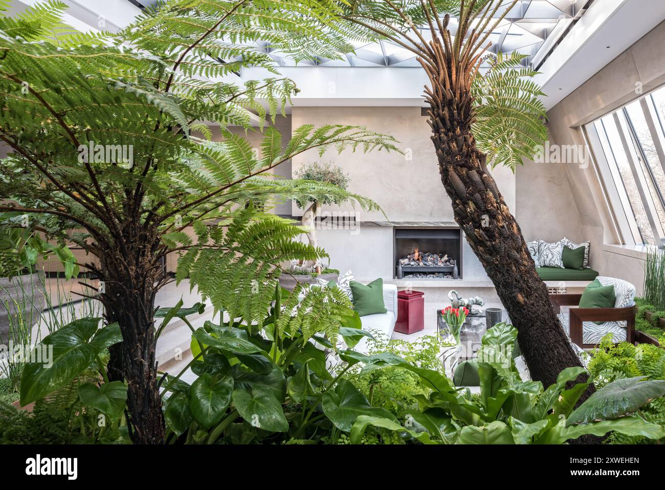 Palm house in luxury modern British home. London, UK Stock Photo - Alamy