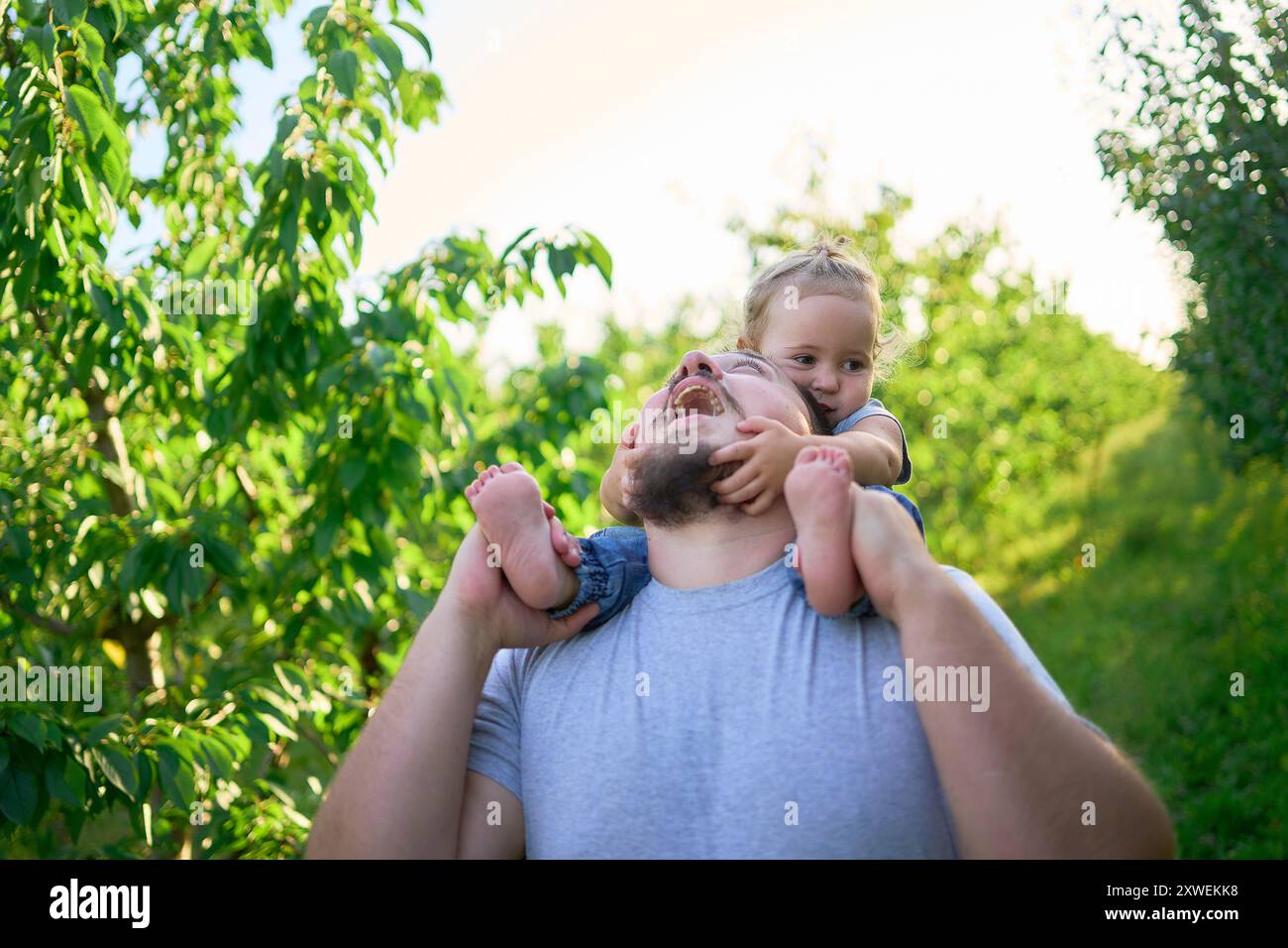 father plays with a toddler on his shoulders Stock Photo - Alamy