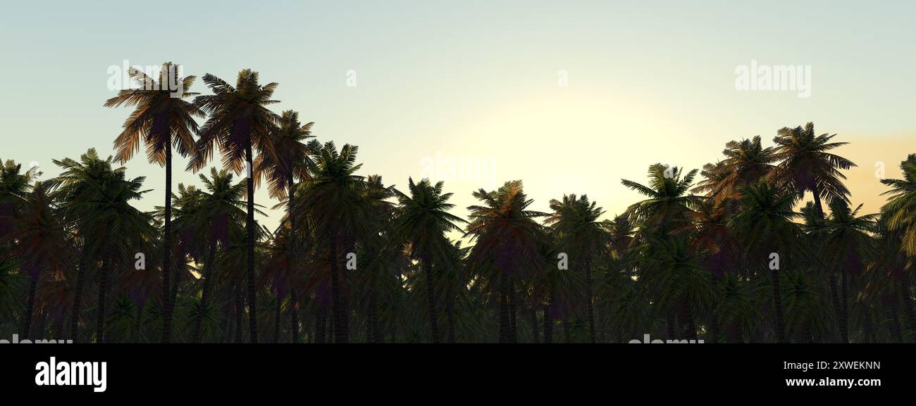 Tropical rainforest at dusk Stock Photo - Alamy