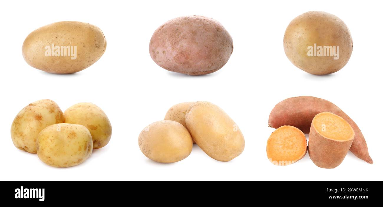Different types of potatoes isolated on white, collection Stock Photo ...