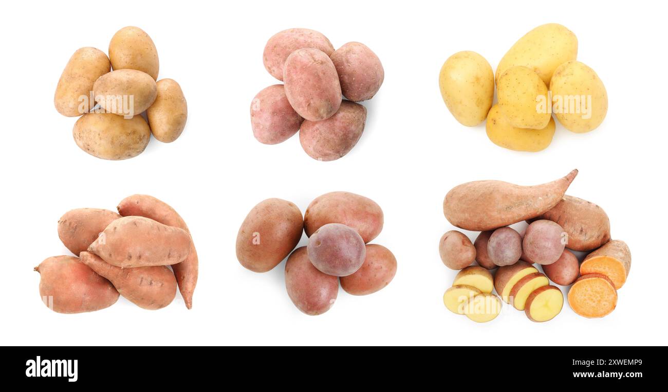 Different types of potatoes isolated on white, collection Stock Photo ...