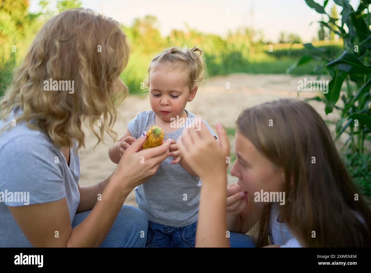 a mother with toddler and teenager eating raw corn in green corn field ...