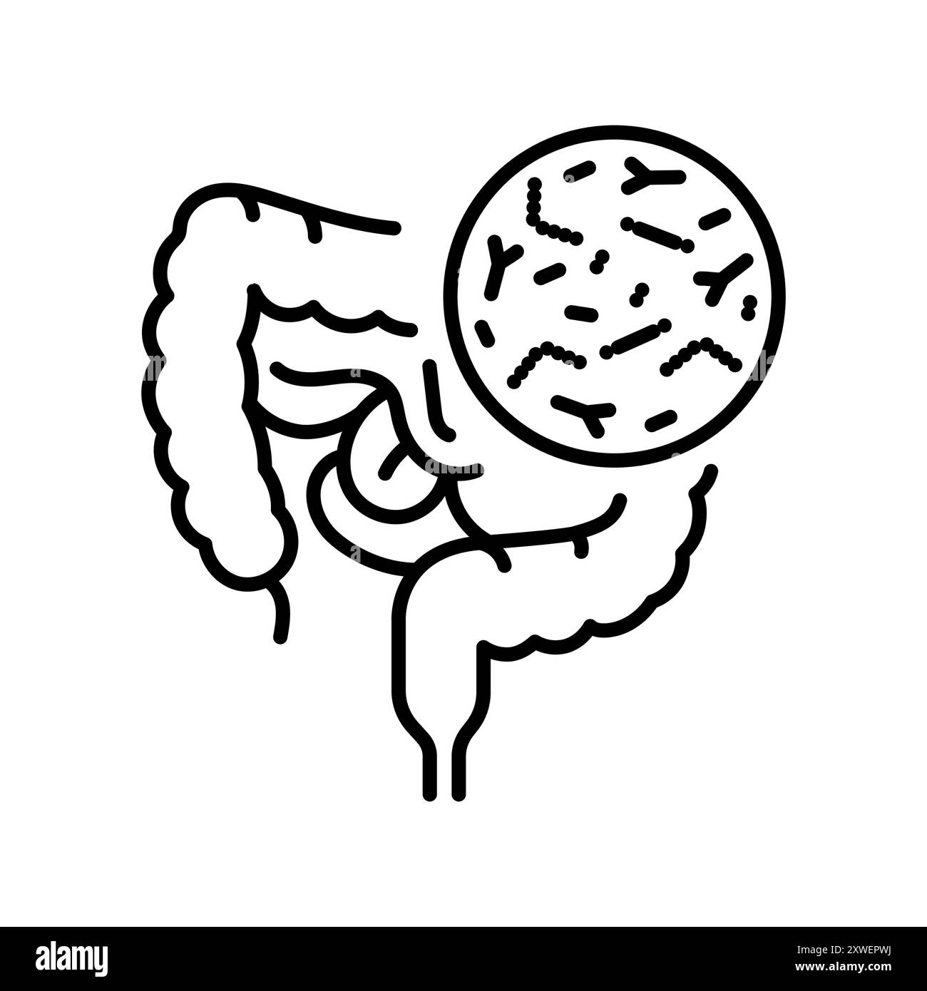 Gut microbiome line black icon. Intestine microbiota. Sign for web page ...