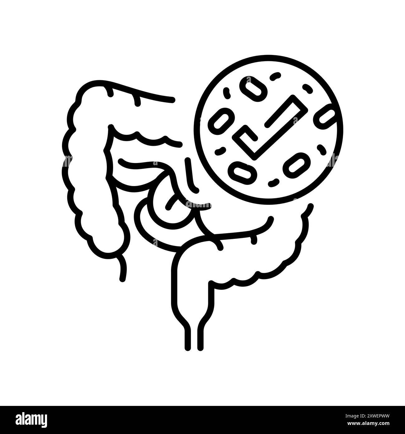 Healthy gut microbiome line black icon. Intestine microbiota. Sign for ...