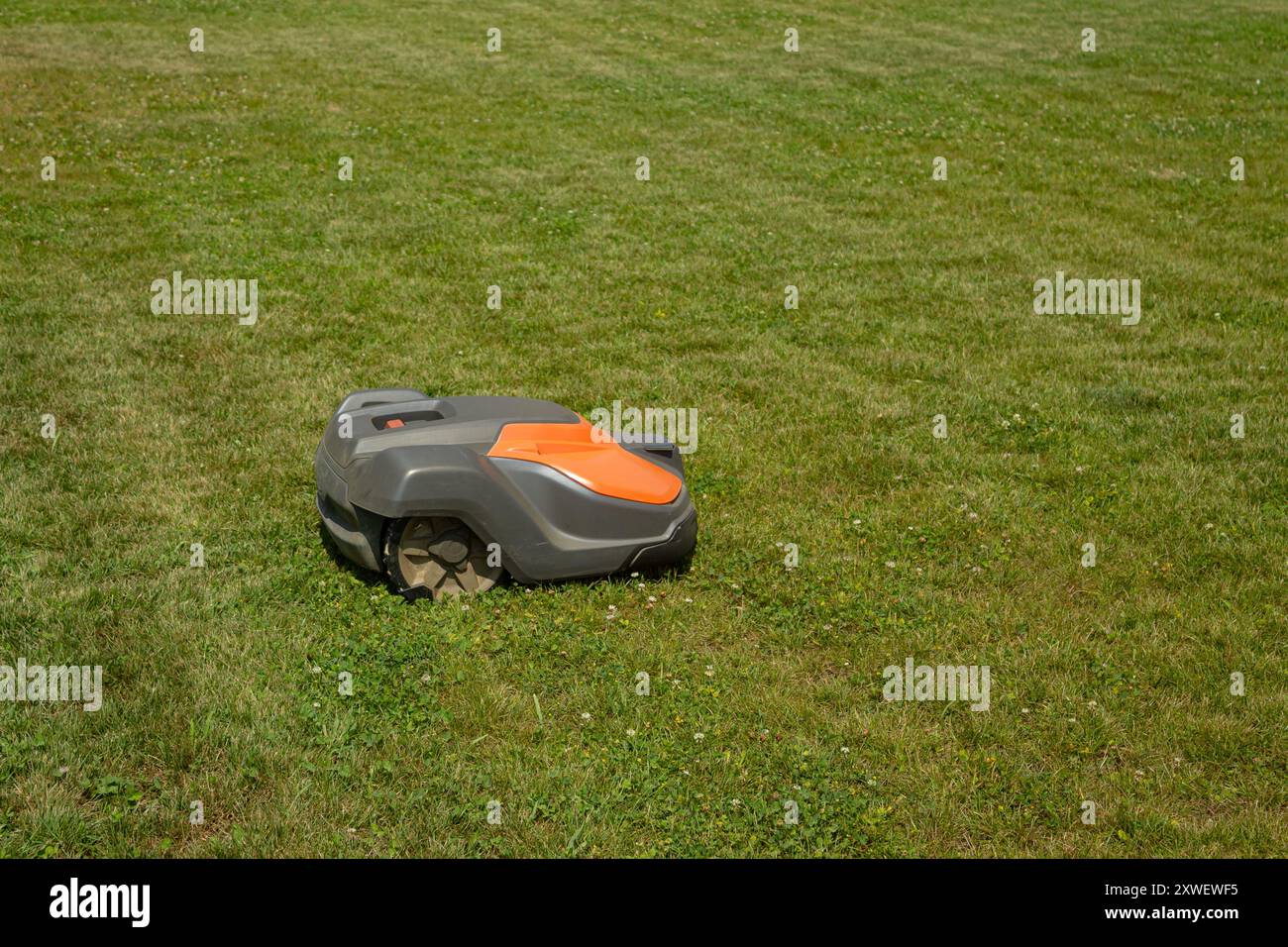 Green grass field beautifully fresh mowed lawn with the lines and lawn ...