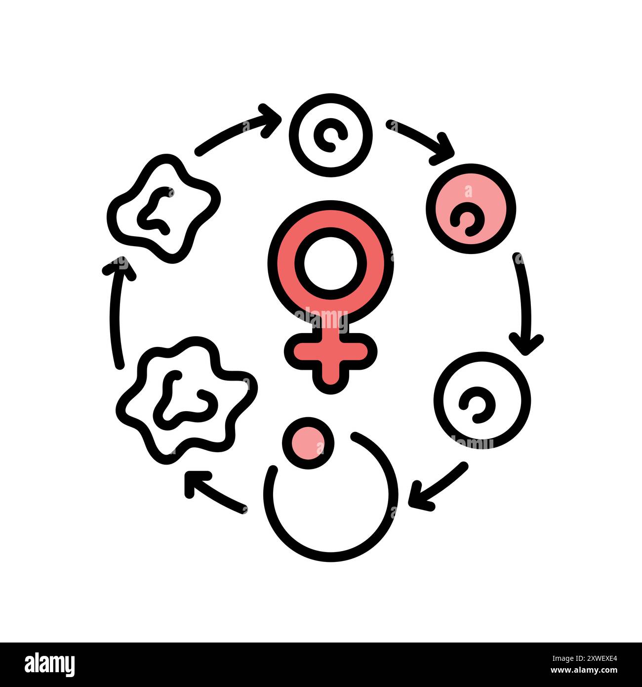 Menstrual cycle line black icon. Sign for web page, mobile app, button ...