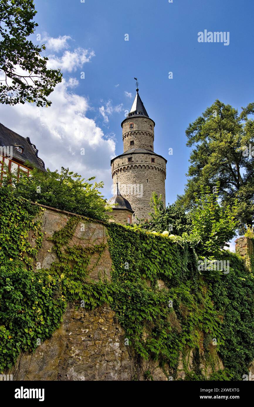 The historic witch tower in Idstein with ivy-covered walls under a ...