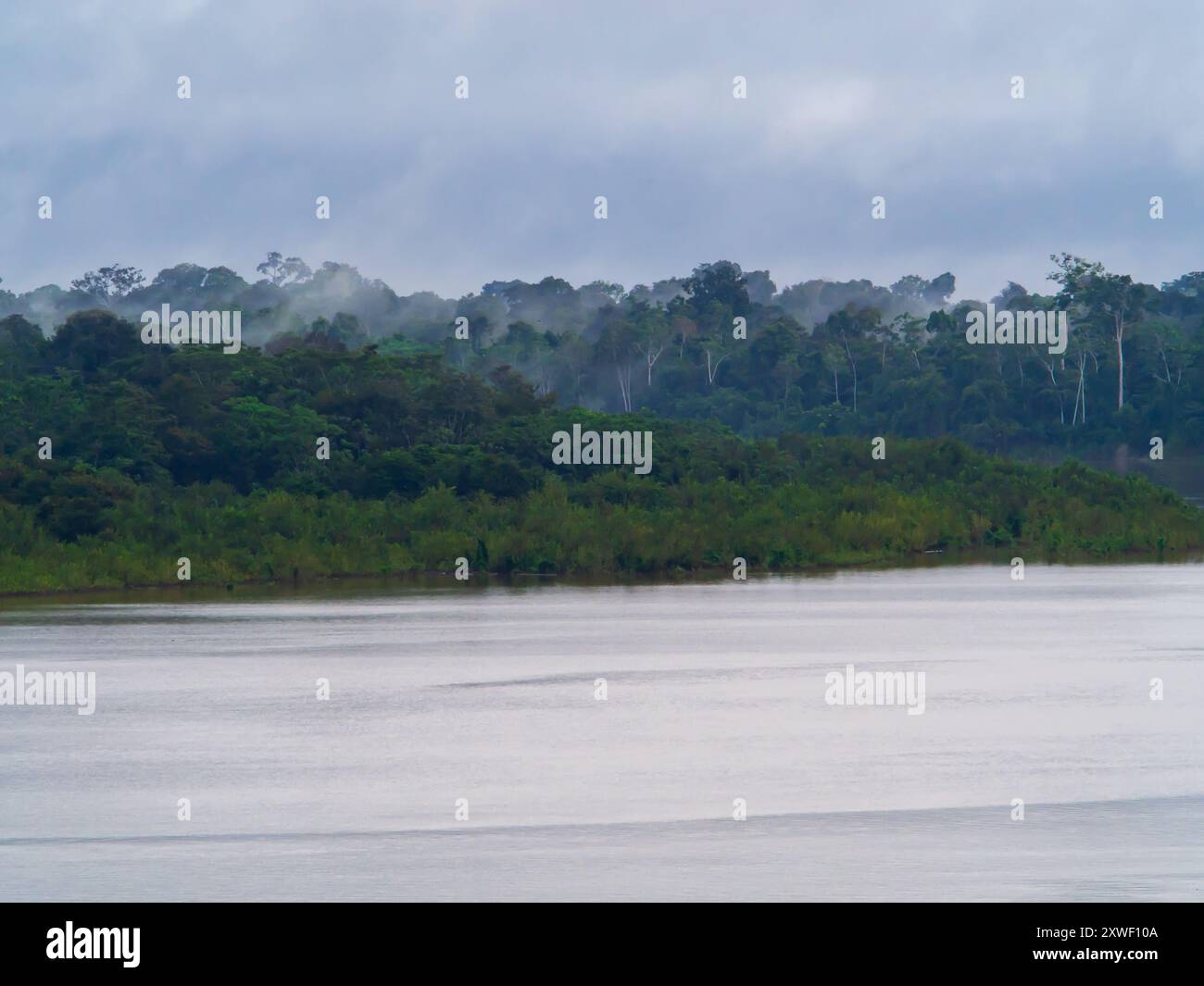 Amazonian jungle - green lungs of the world. Valley of Javari River ...