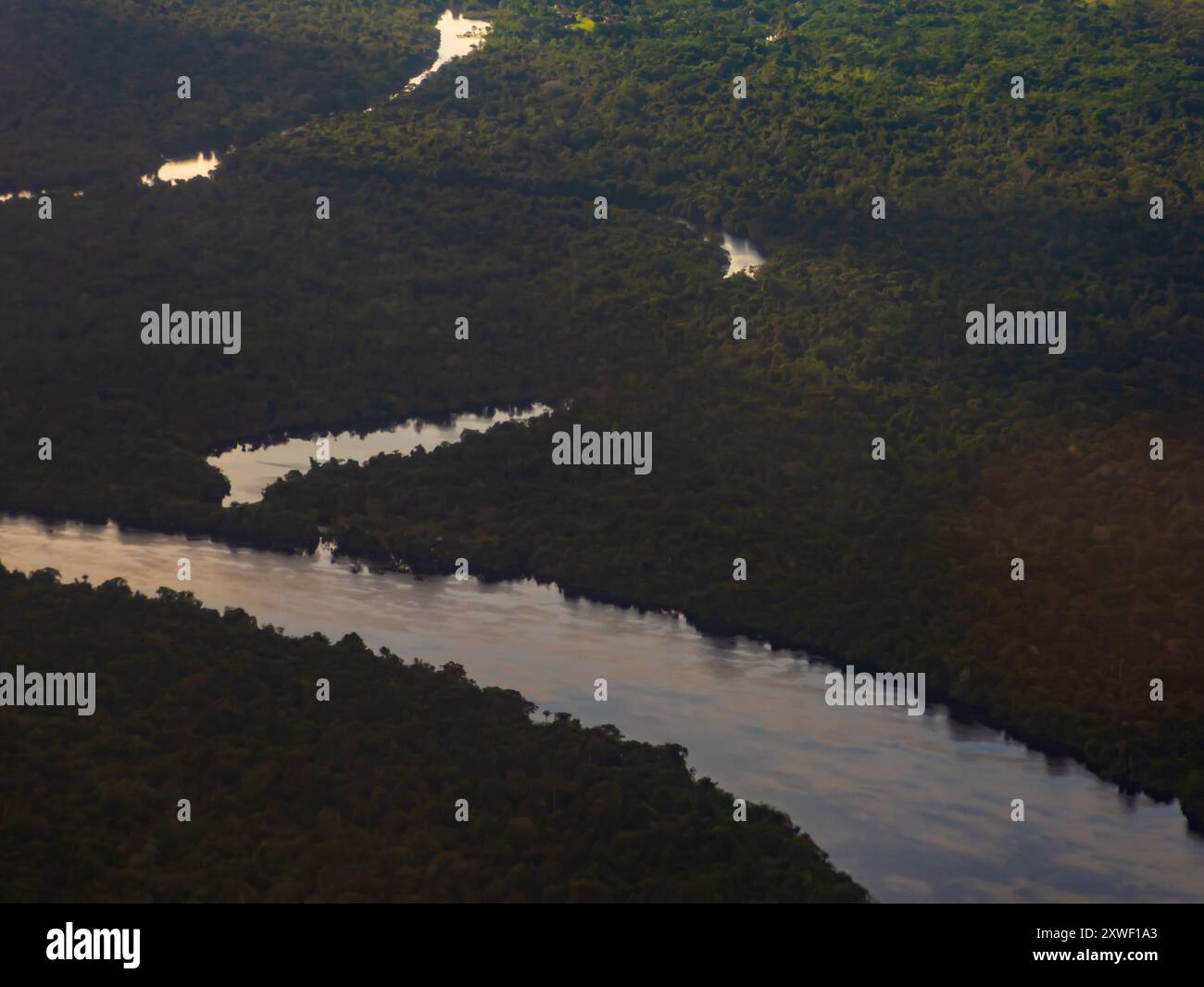 Amazonia, Peru. Top view of Amazon rainforest. View from the airplane ...
