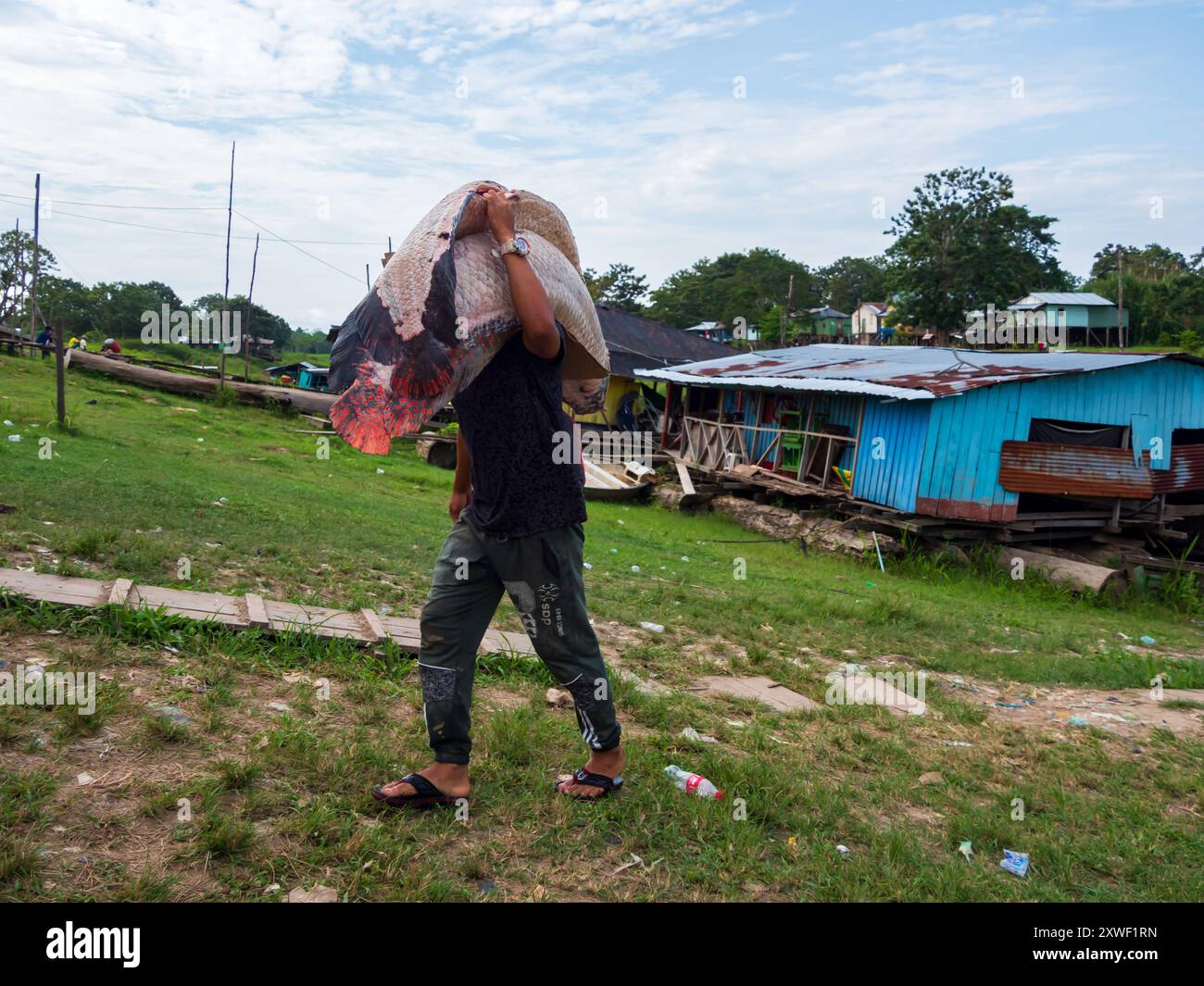 Paiche peru hi-res stock photography and images - Alamy