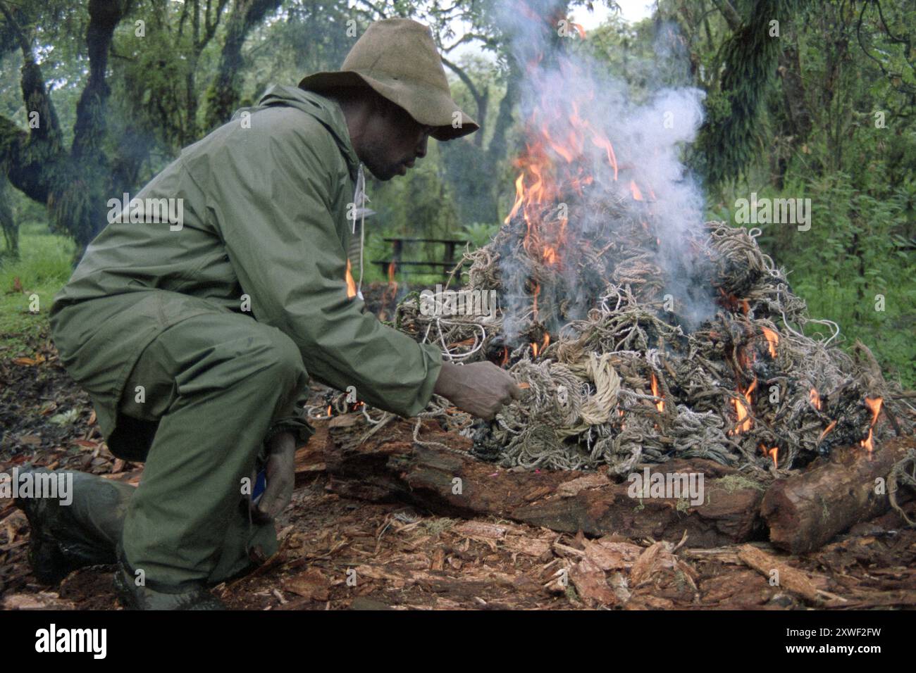 Anti-poaching ranger setting fire to rope snares, Volcanoes national ...