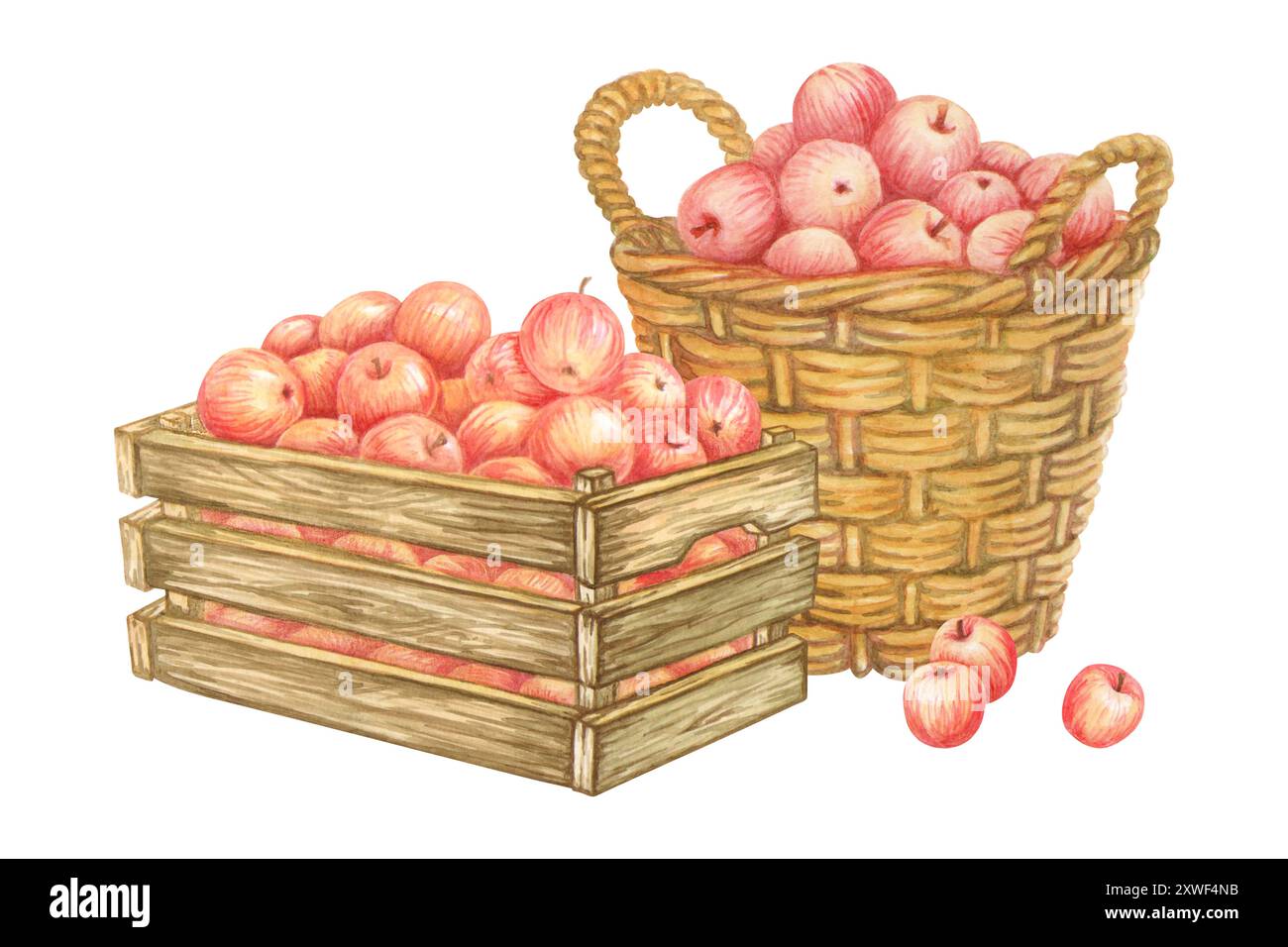 Isolated composition of wooden crate and wicker basket full of apples ...