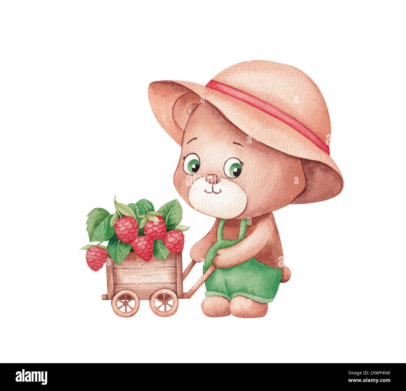 Cute bear is carrying raspberry in a wooden wheelbarrow. Hand drawn ...