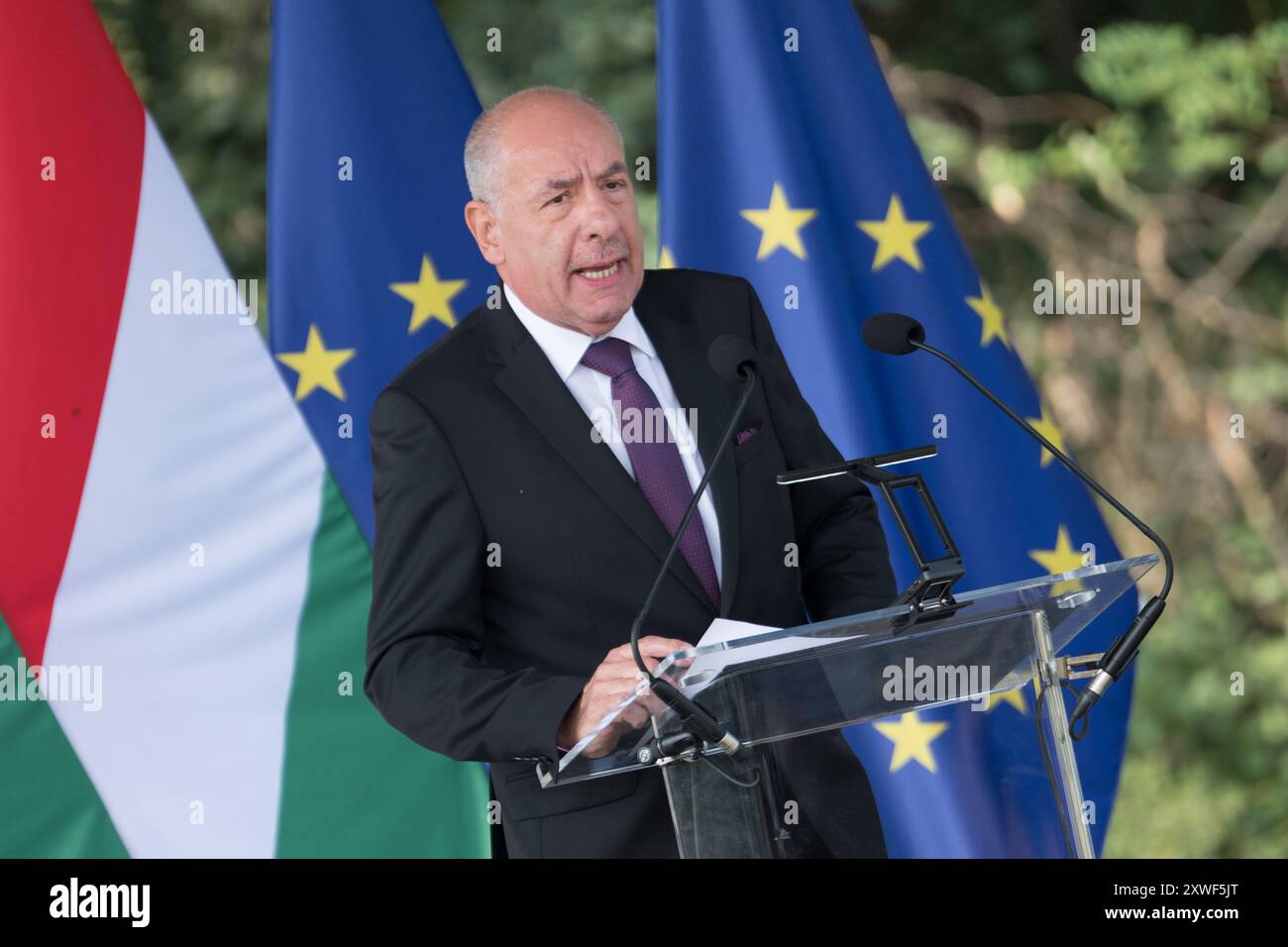 Sopron, Hungary. 19th Aug, 2024. Tamas Sulyok, President of the ...