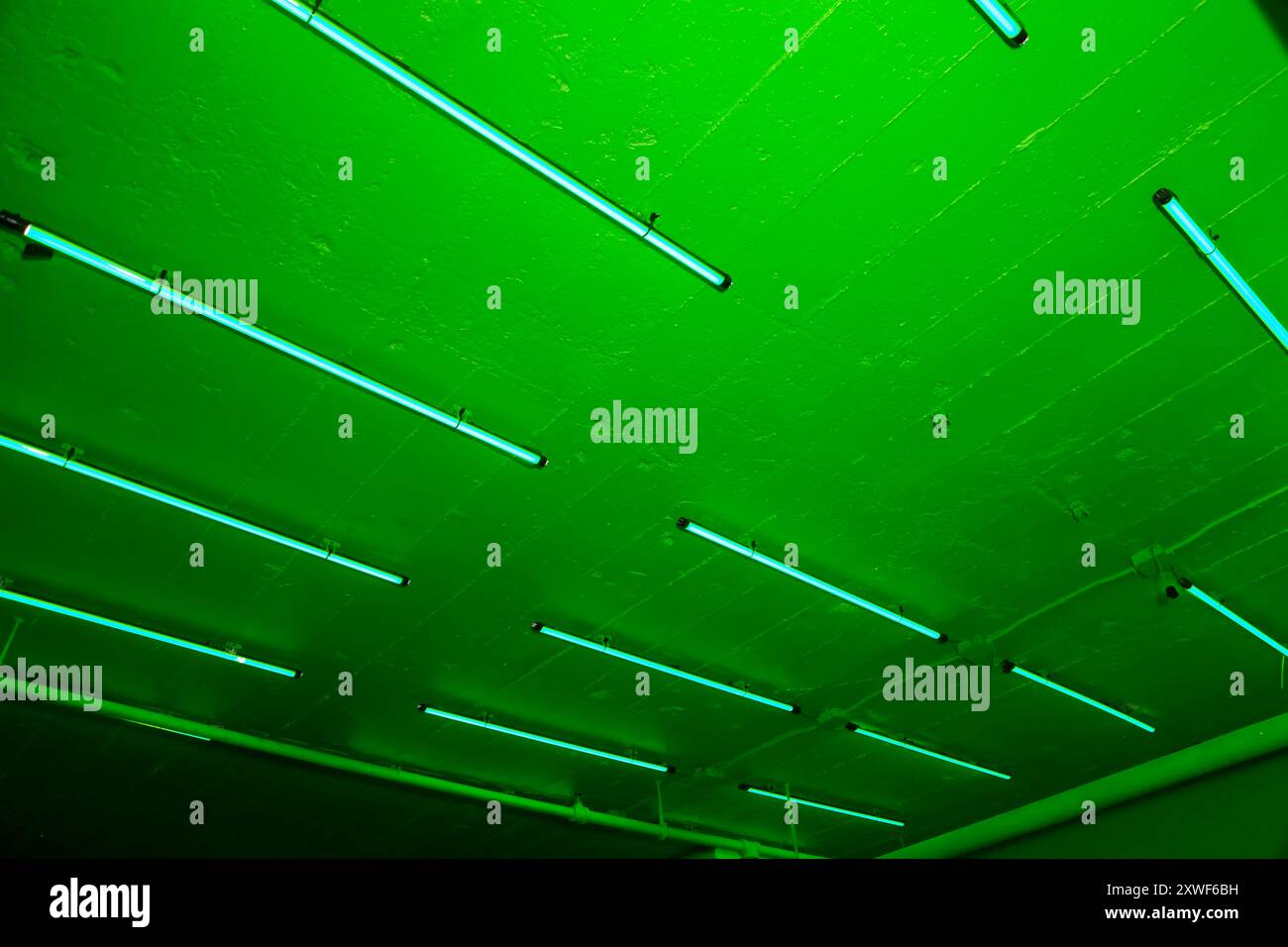 Dar green texture hi-res stock photography and images - Alamy