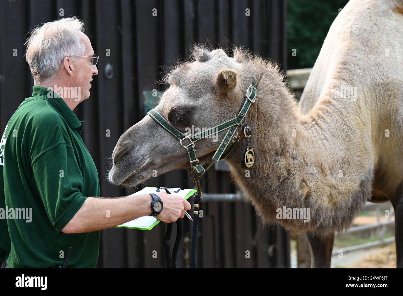 Contrast soles hi-res stock photography and images - Alamy