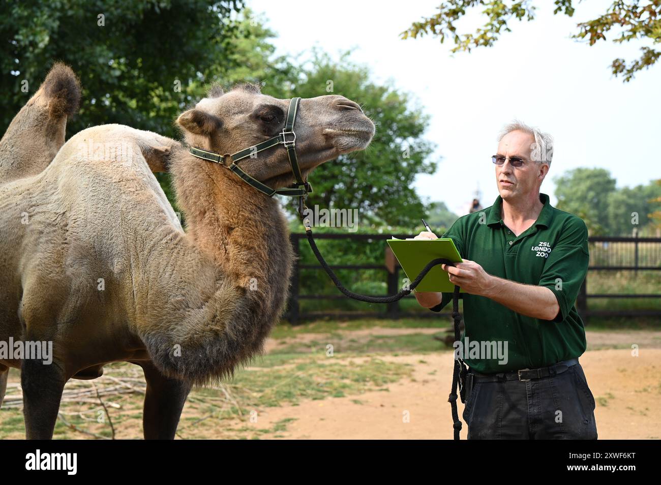 Contrast soles hi-res stock photography and images - Alamy