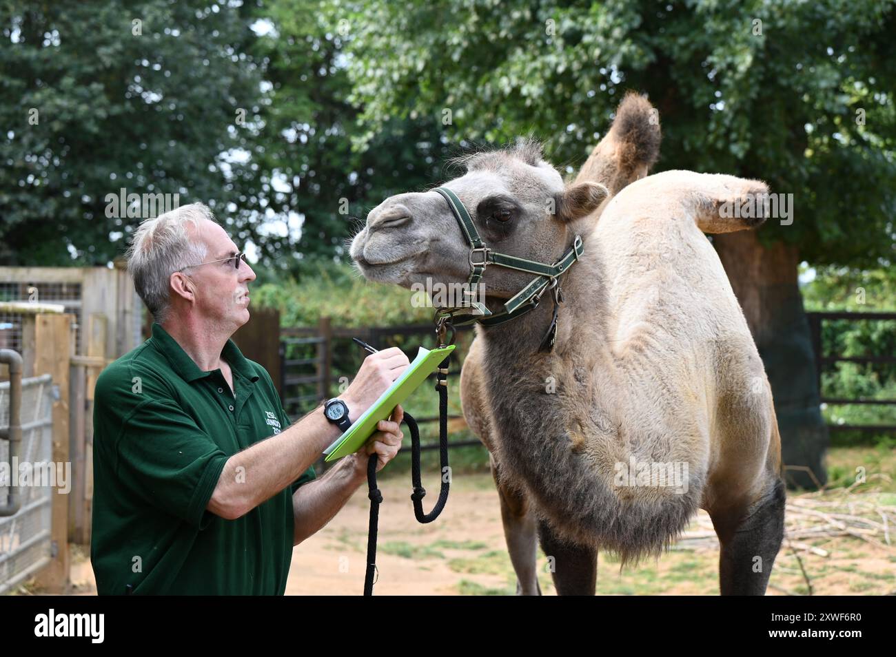 Contrast soles hi-res stock photography and images - Alamy