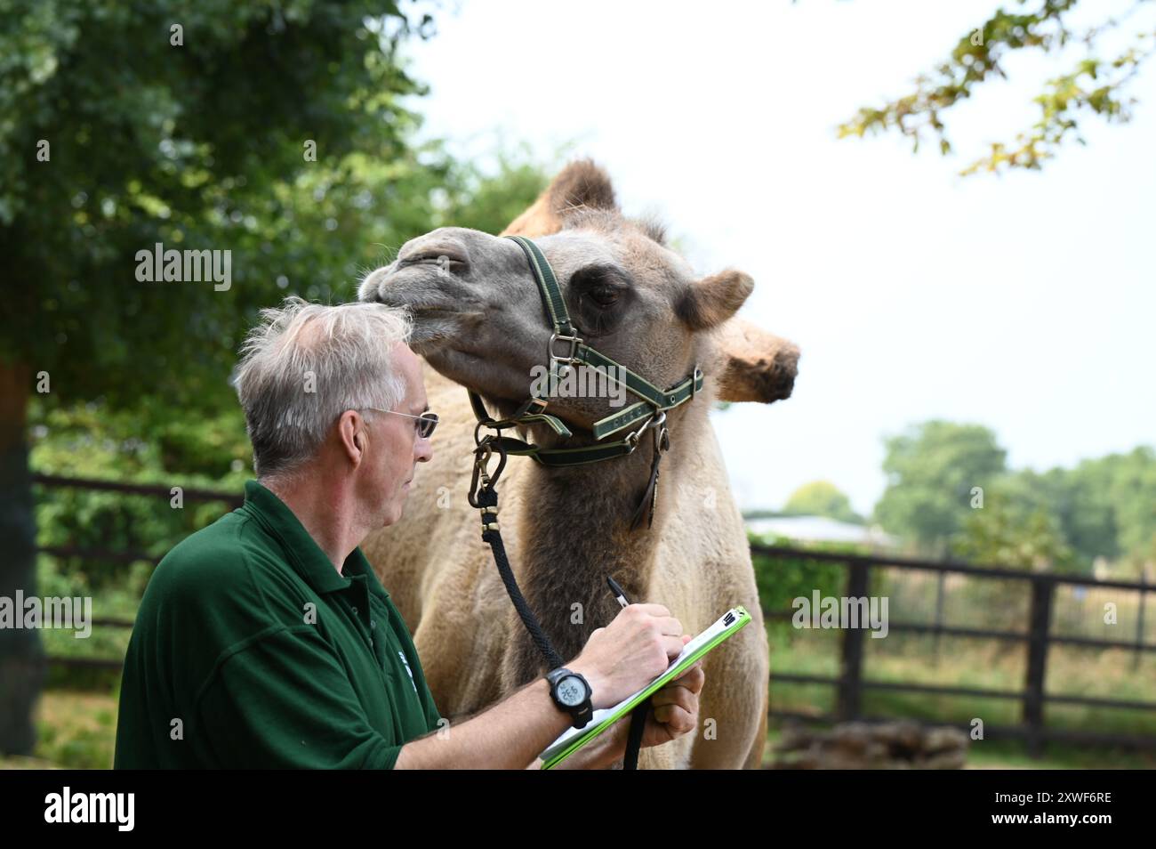 Contrast soles hi-res stock photography and images - Alamy
