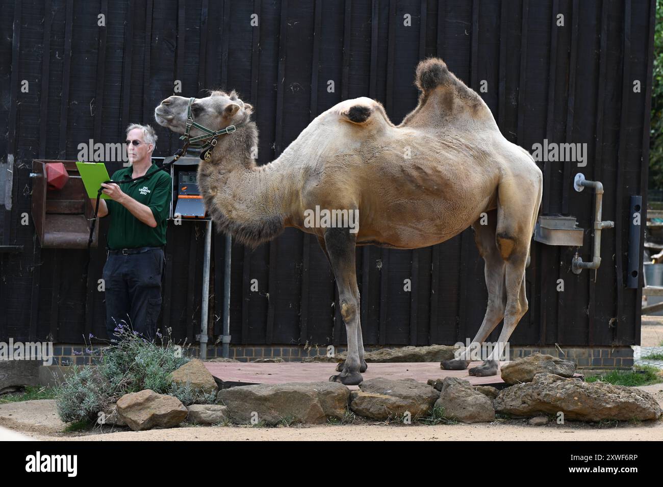 Contrast soles hi-res stock photography and images - Alamy