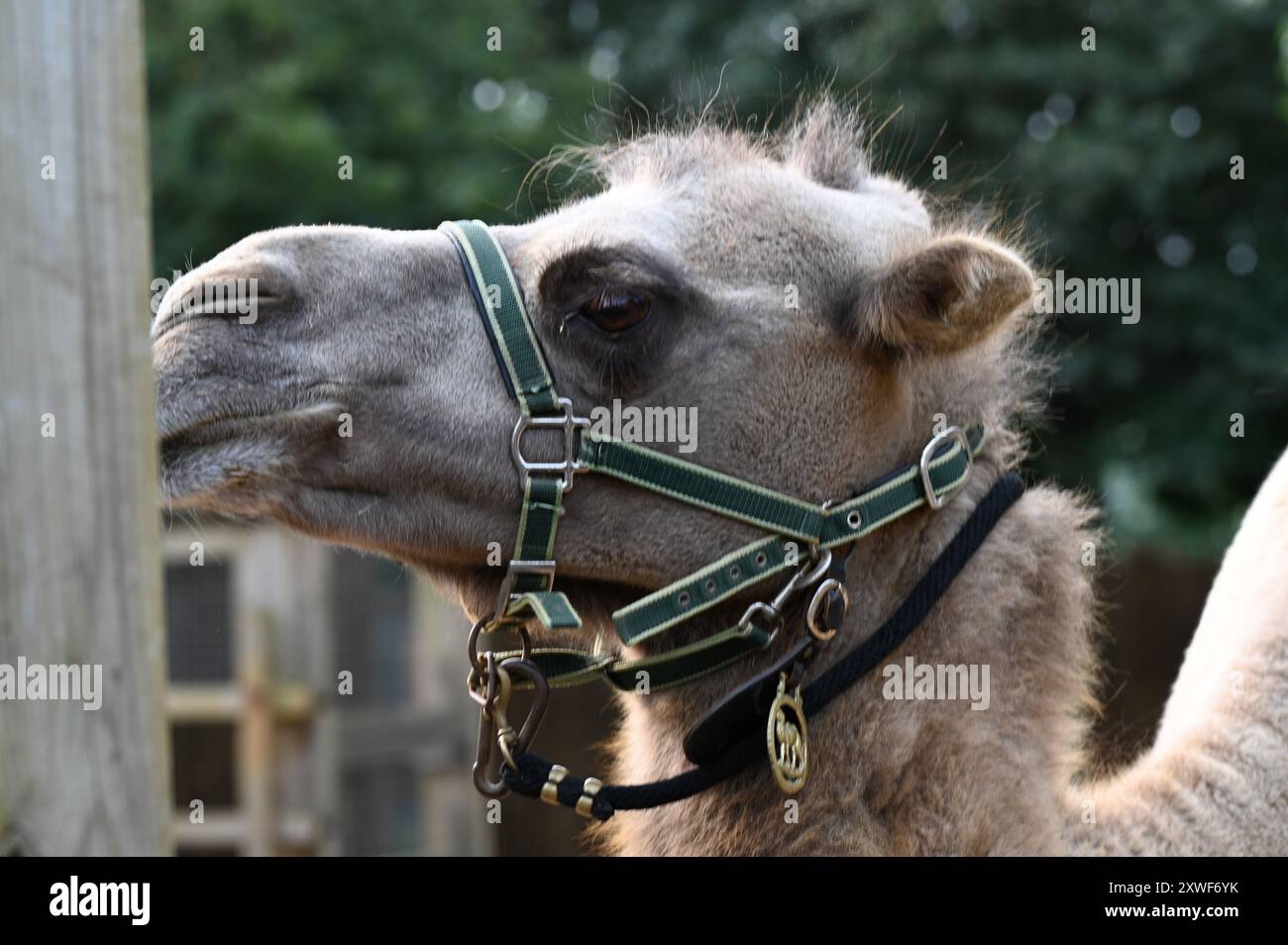 Contrast soles hi-res stock photography and images - Alamy
