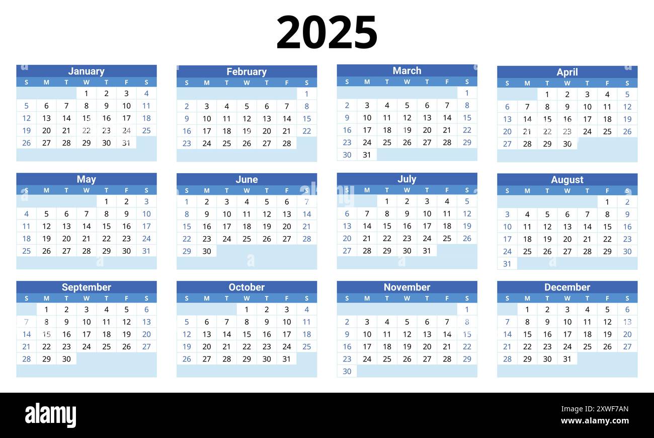 2025 year english vector calendar: Modern, clean design with 12 months ...